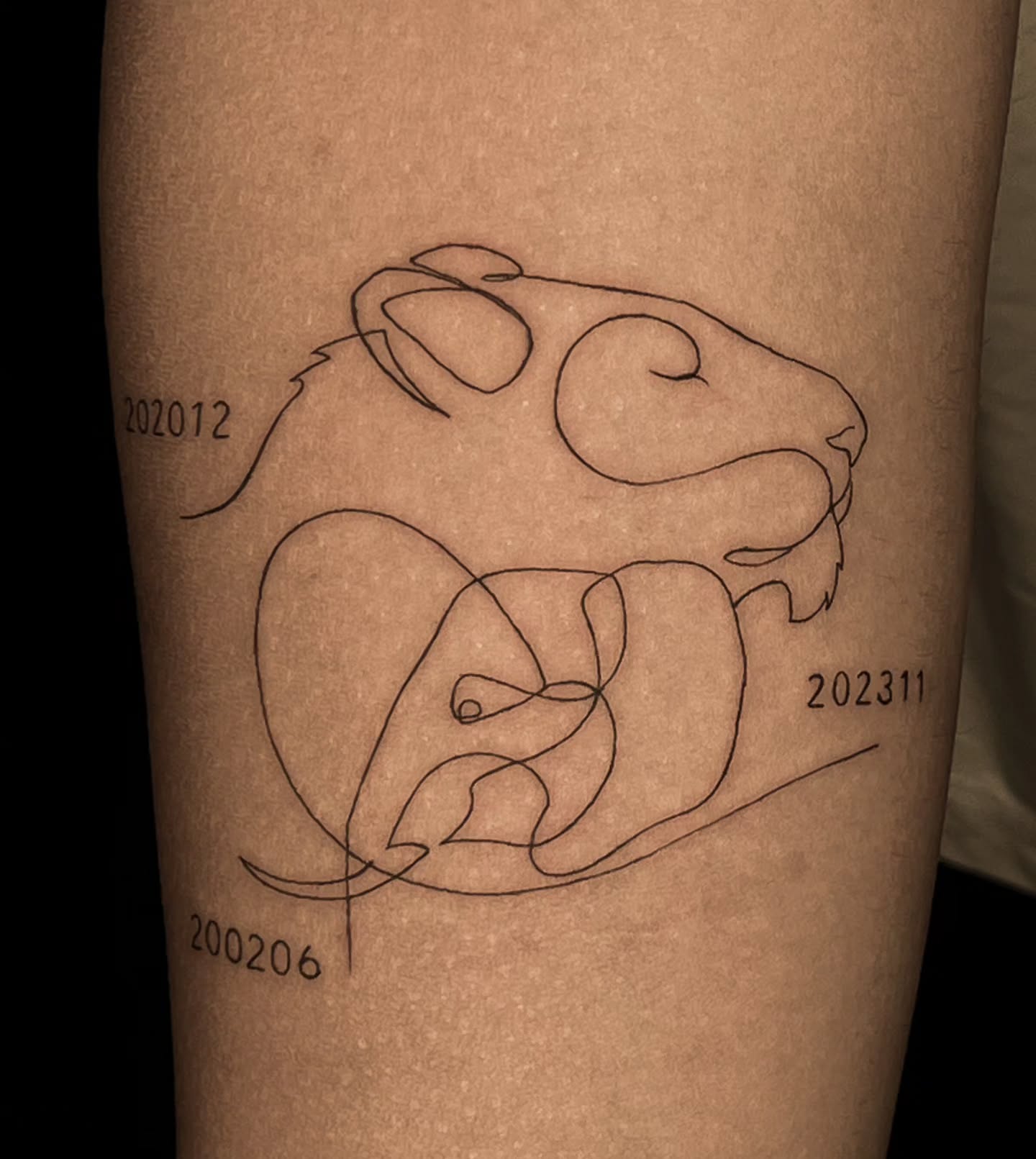 Single Line Tattoo Ideas: Simple Ink, Powerful Impact. - women tattoo ideas
